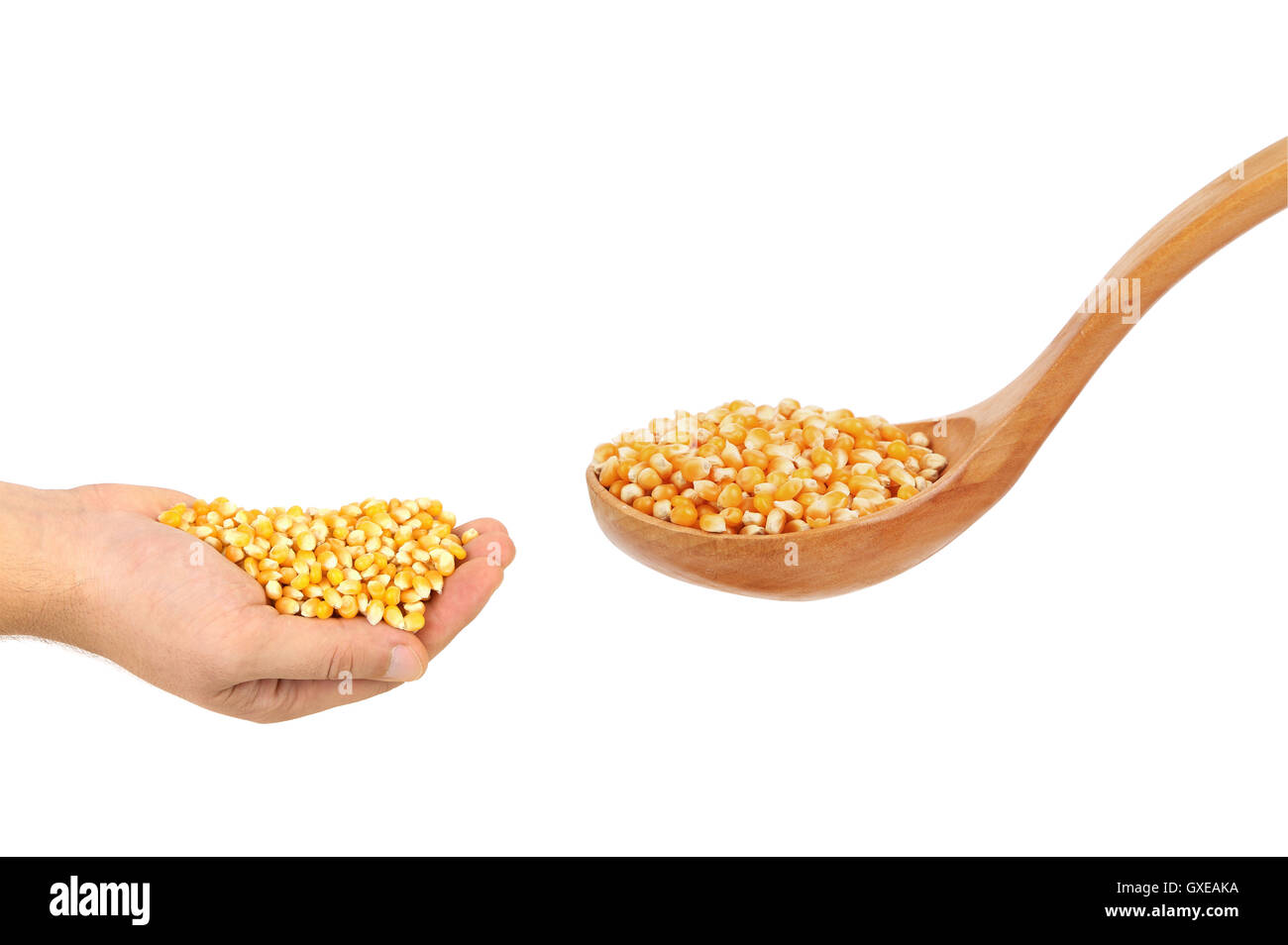 Handful of corn kernels hi-res stock photography and images - Alamy