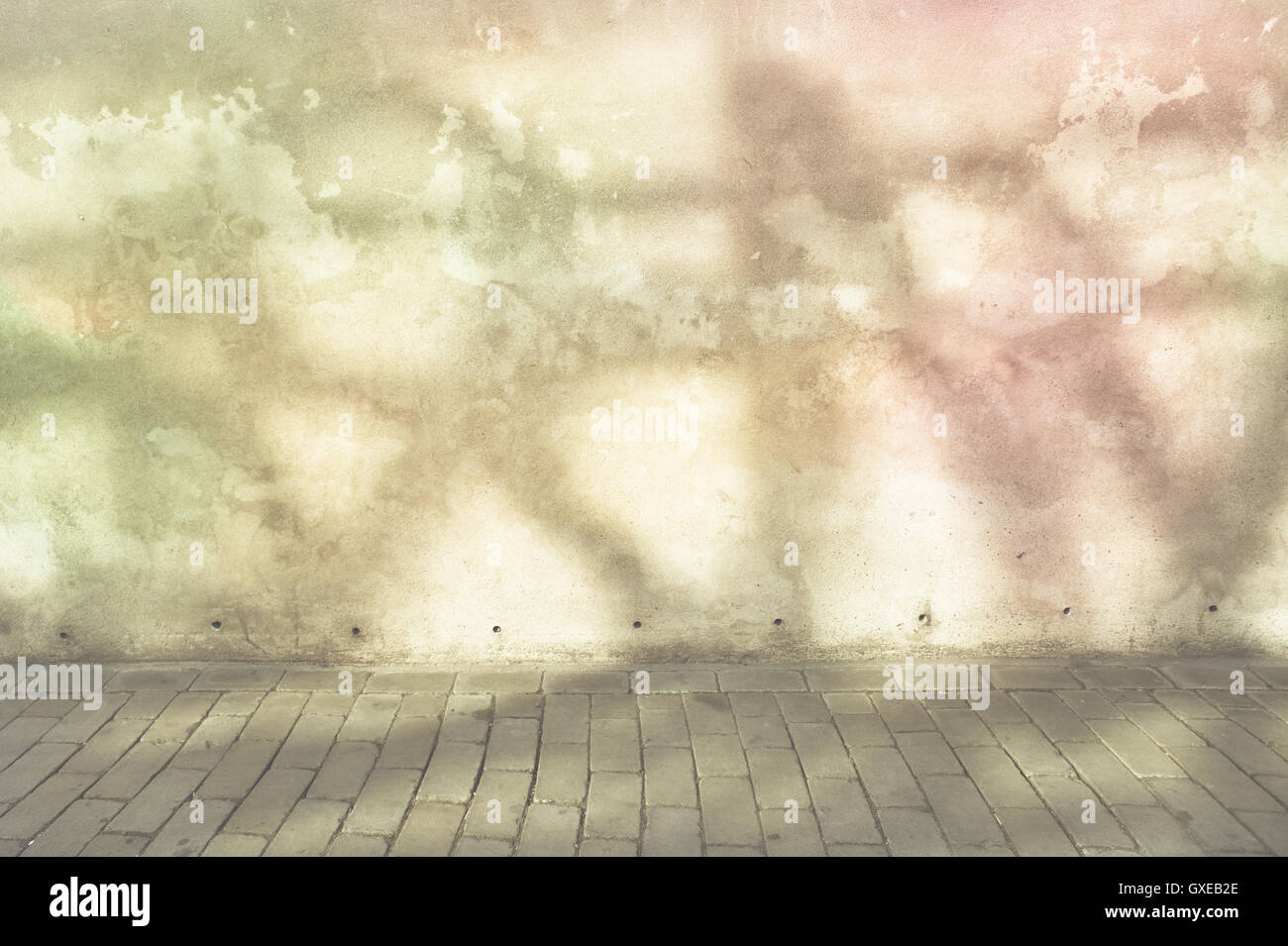 Cement brick wall shadow branches hi-res stock photography and images ...