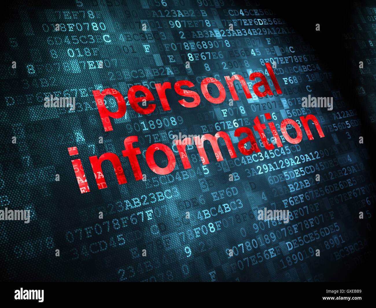 Security concept: Personal Information on digital background Stock ...