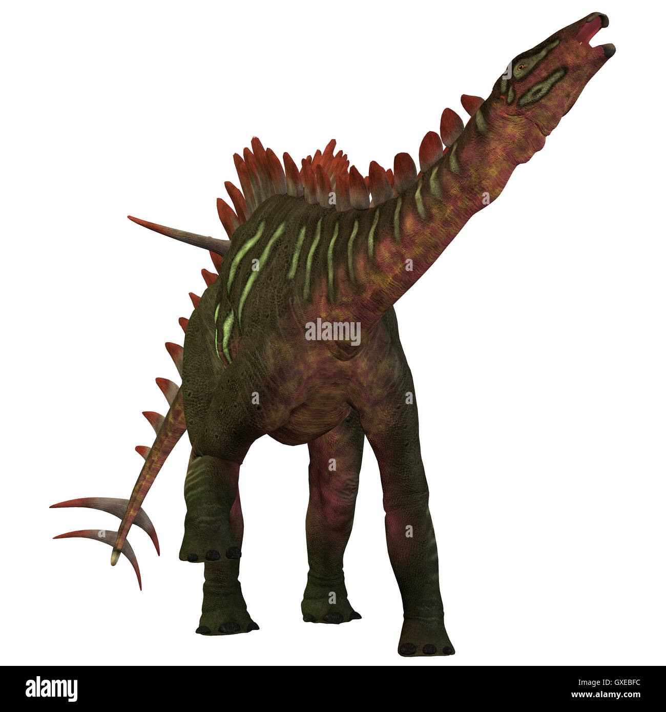 Miragaia over White Stock Photo - Alamy