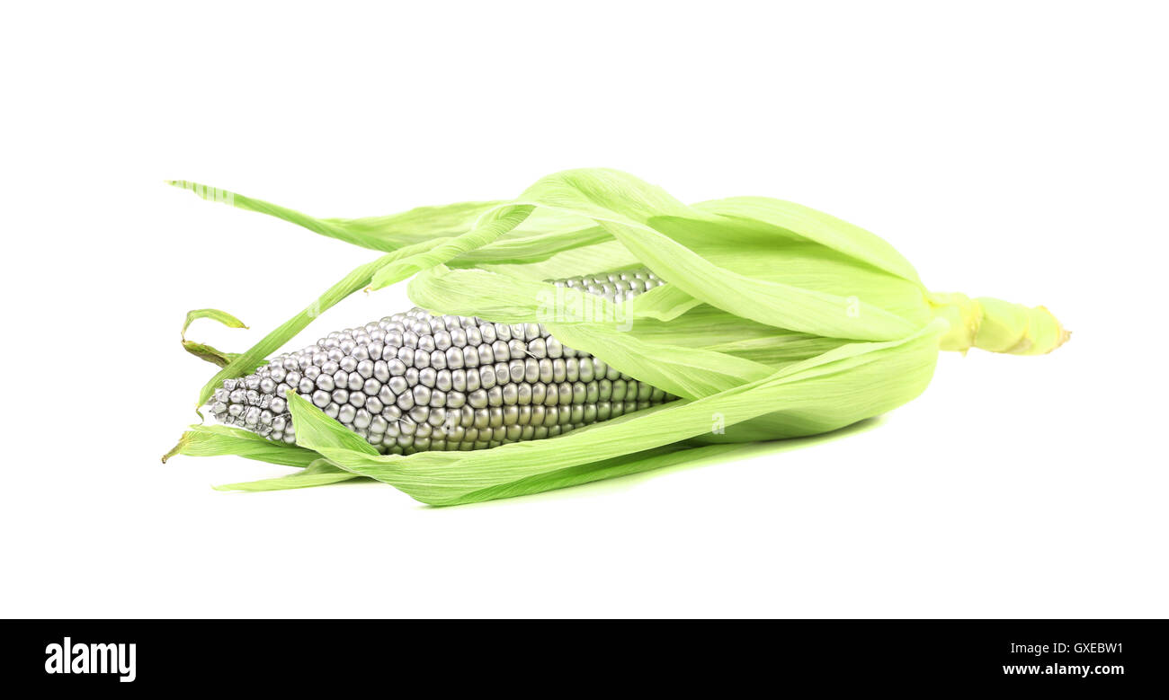 Corn leaves detail Cut Out Stock Images & Pictures - Alamy
