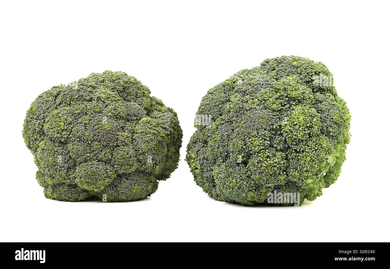 Broccoli vegetable isolated on white Stock Photo - Alamy