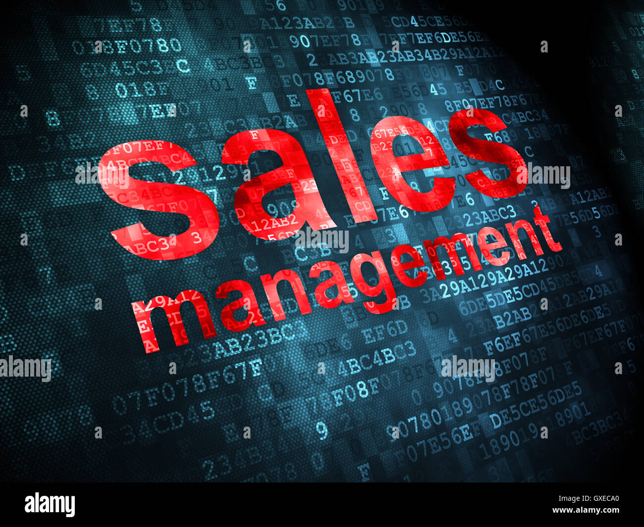 Marketing concept: Sales Management on digital background Stock Photo ...
