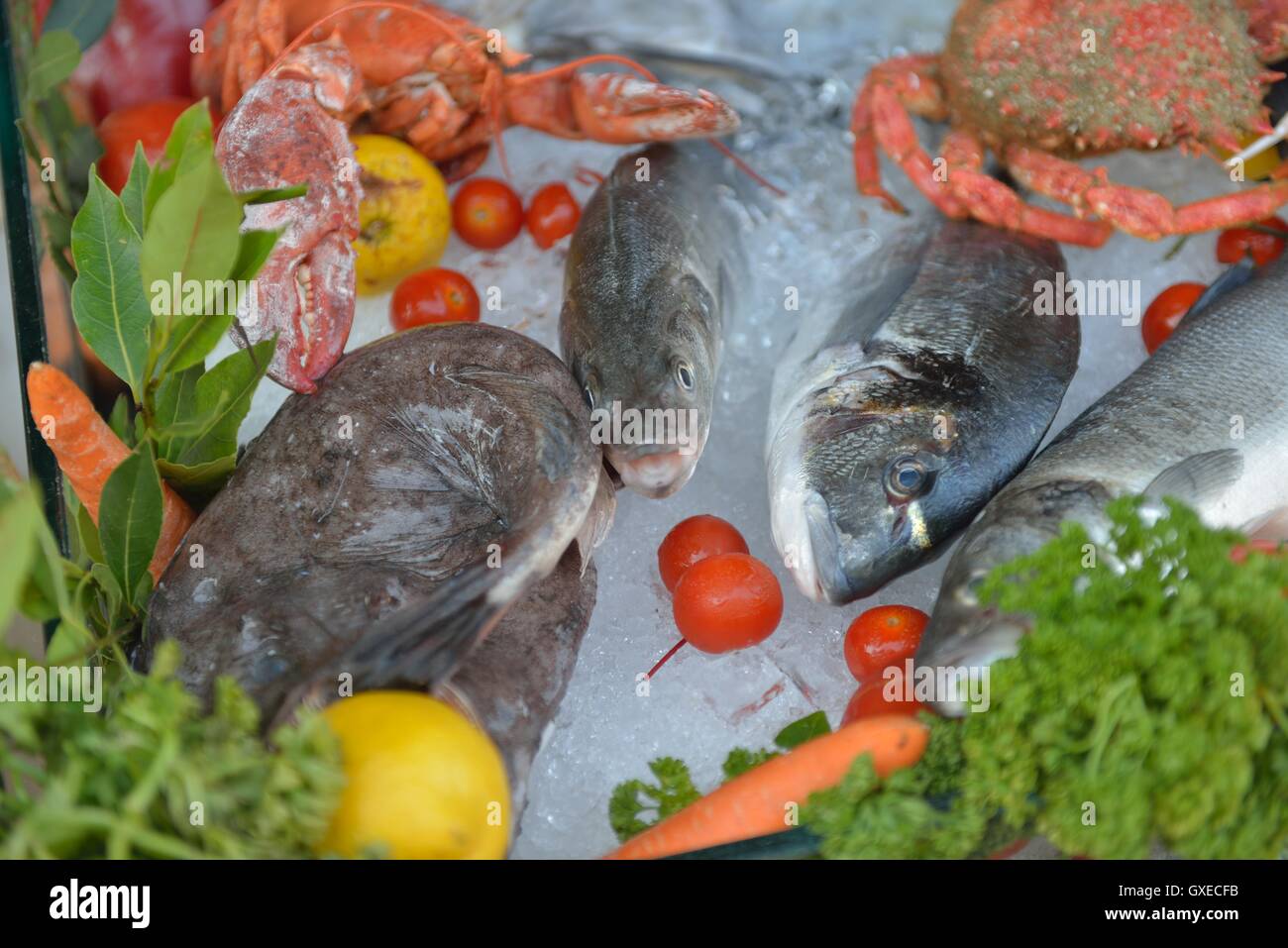 Seafood on ice Stock Photo - Alamy