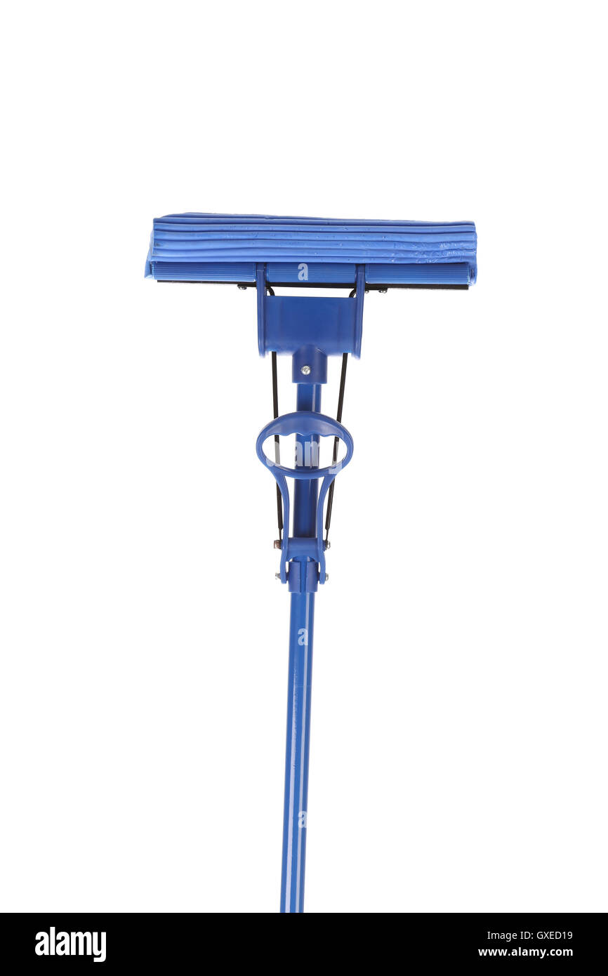 Close up of blue mop with sponge Stock Photo - Alamy