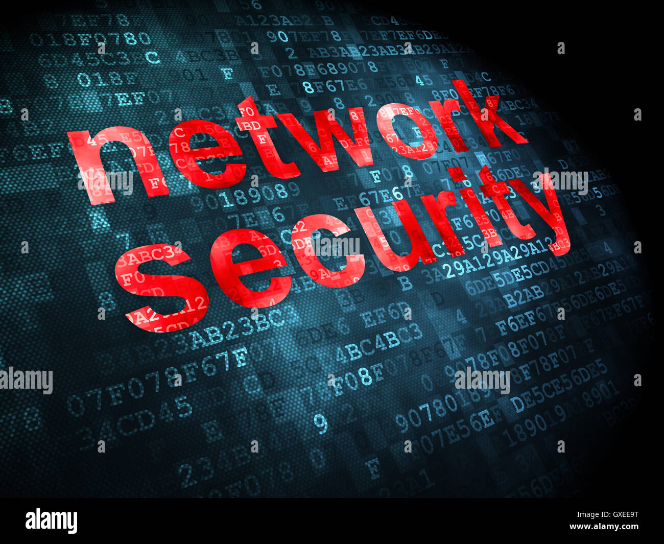 Privacy concept: Network Security on digital background Stock Photo - Alamy