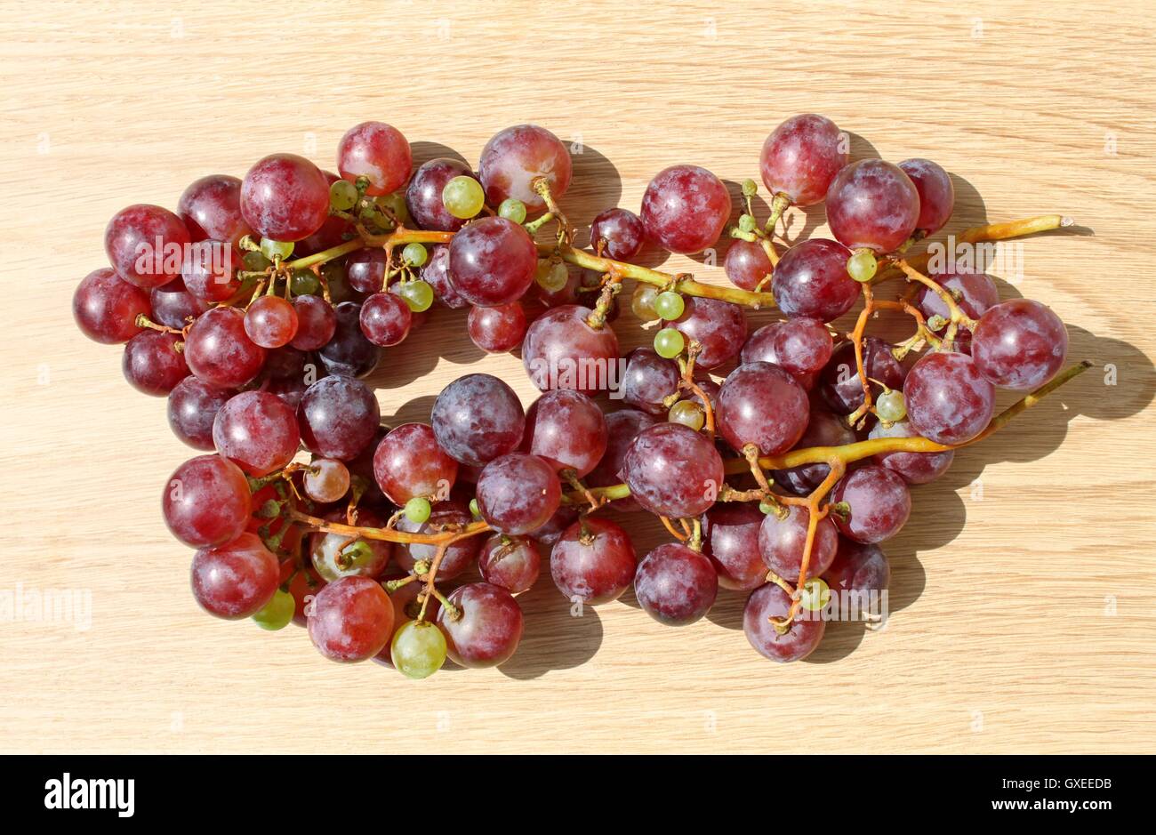 Fermentation of grapes hi-res stock photography and images - Alamy