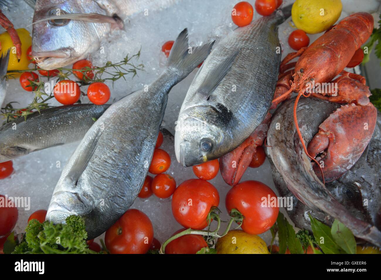 Seafood on ice Stock Photo - Alamy