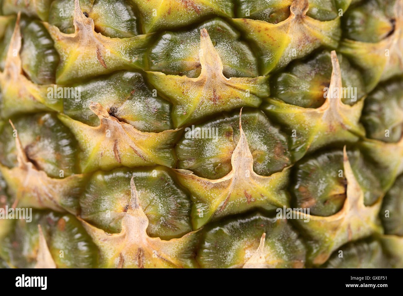 Pineapple fruit close up Stock Photo - Alamy