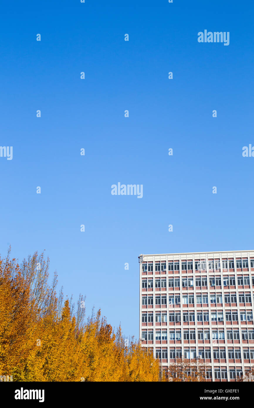 Building Fall Trees Color Stock Photo - Alamy