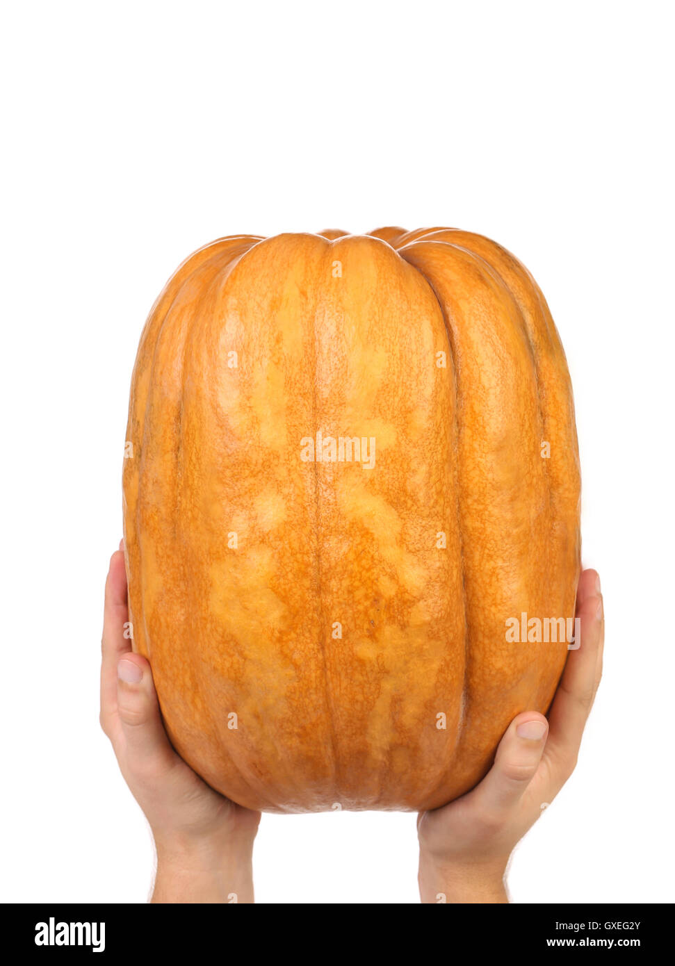 Hand holds pumpkin Stock Photo - Alamy