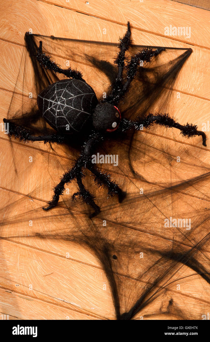 spider of Halloween Stock Photo - Alamy