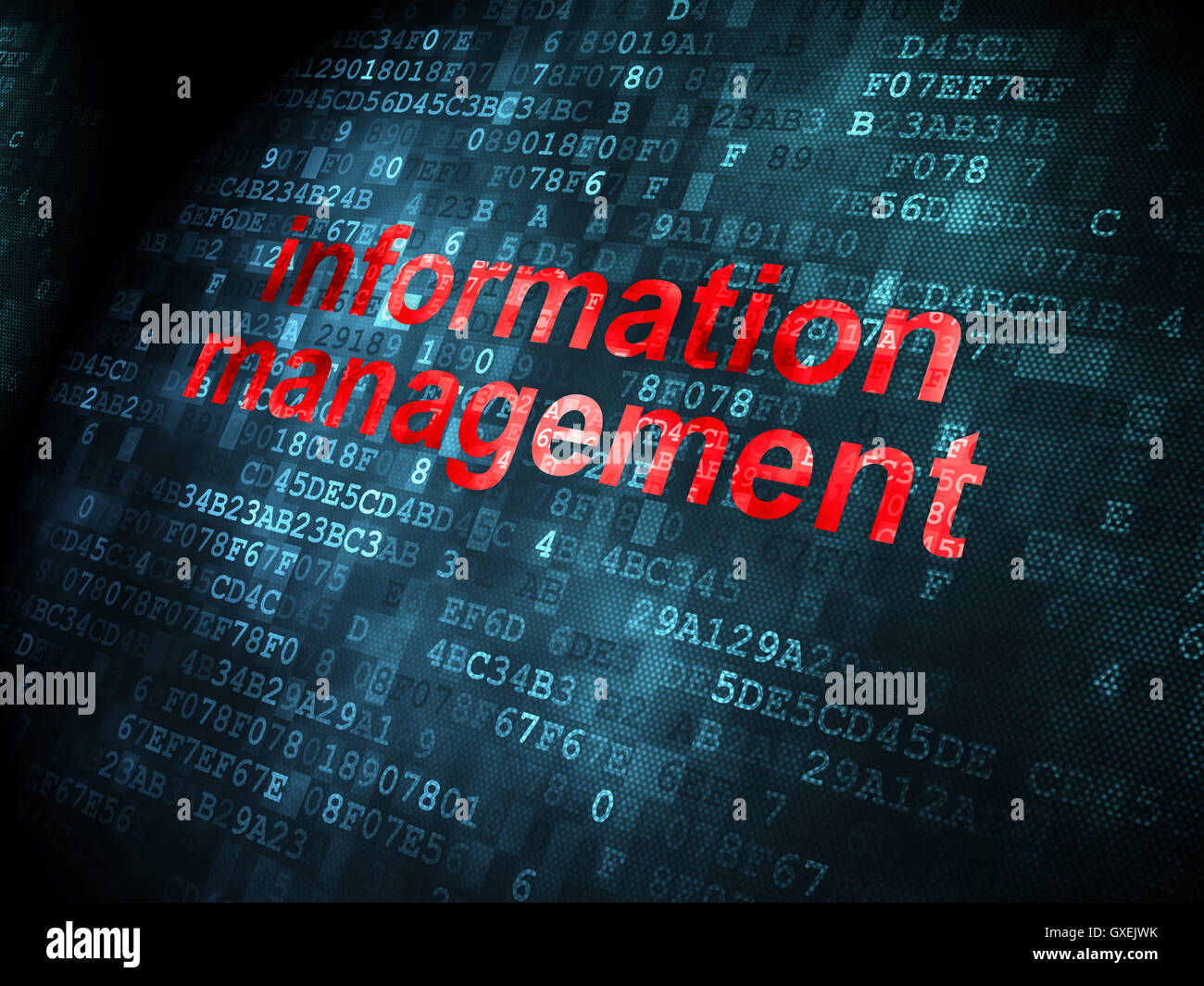 Data concept: Information Management on digital background Stock Photo ...