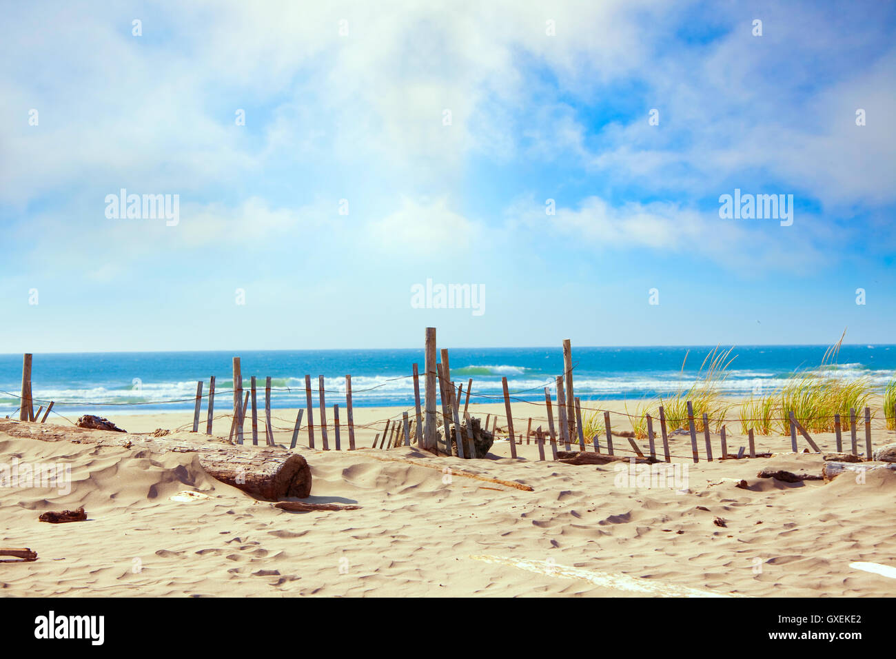 Shoreline dunes hi-res stock photography and images - Alamy