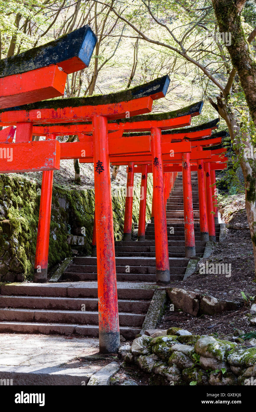 Stone torii gates hi-res stock photography and images - Alamy