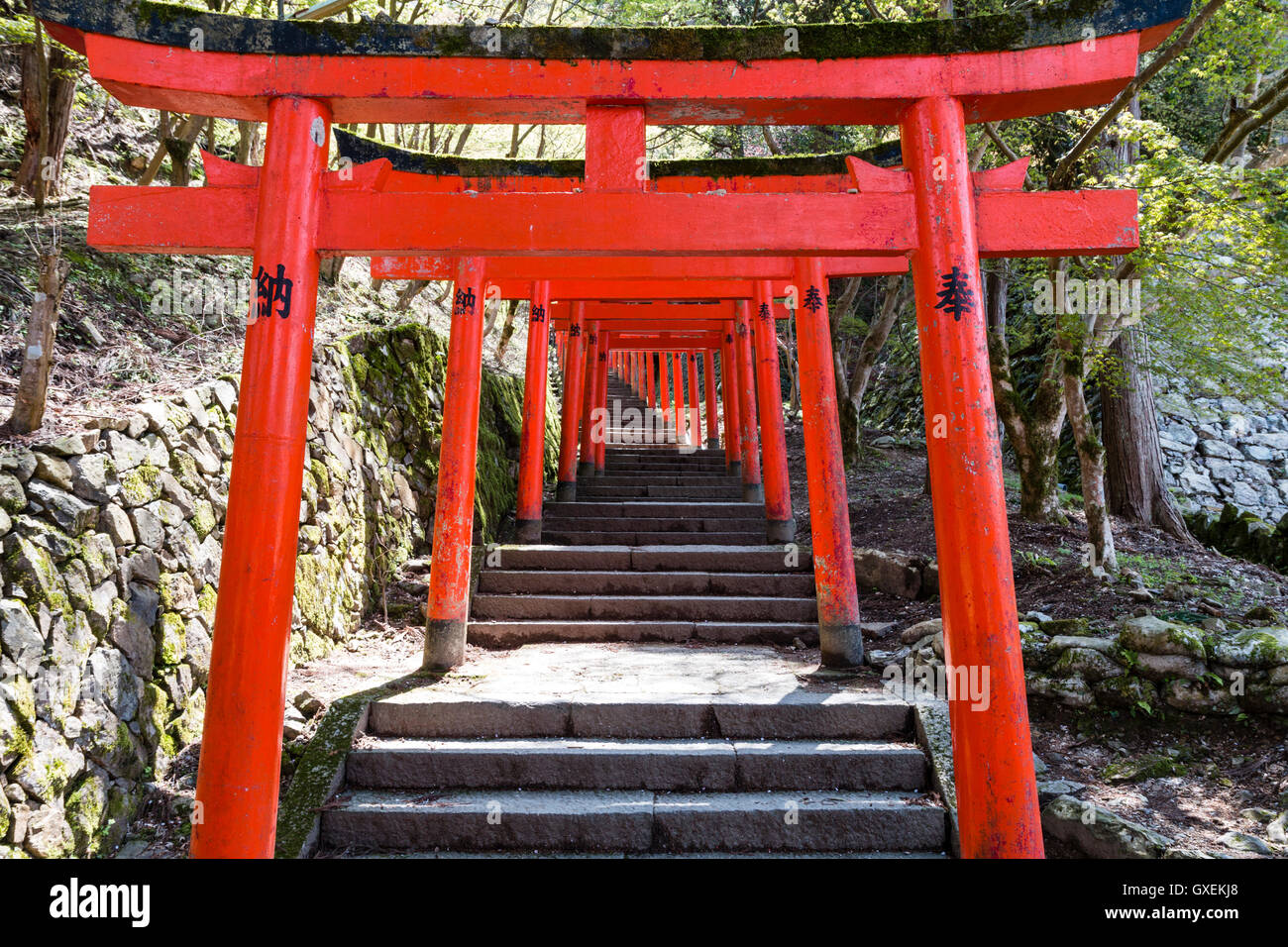 Stone Torii Gates High Resolution Stock Photography and Images - Alamy