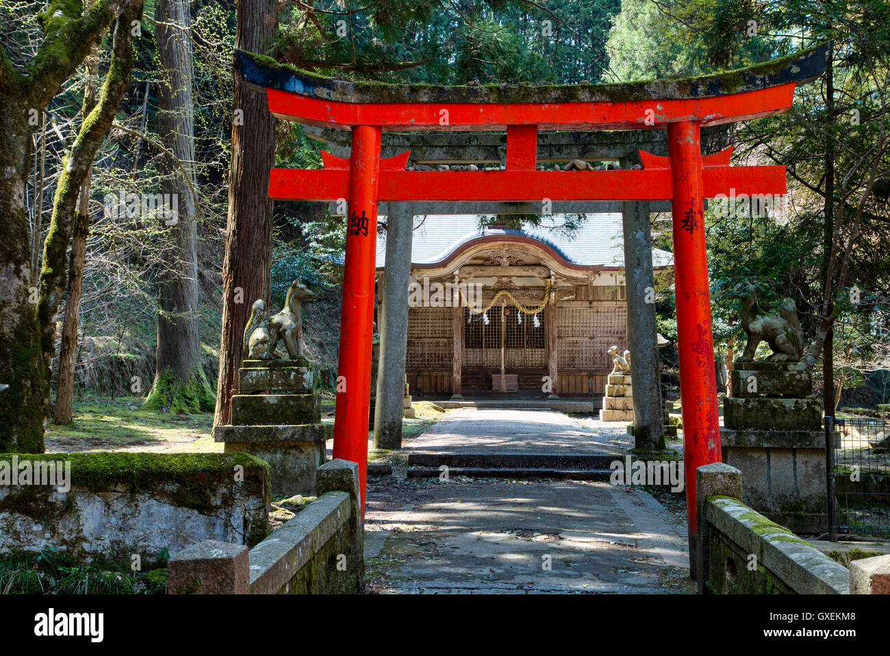 Japan, Izushi castle. Vermillion wooden torii and behind stone torii ...