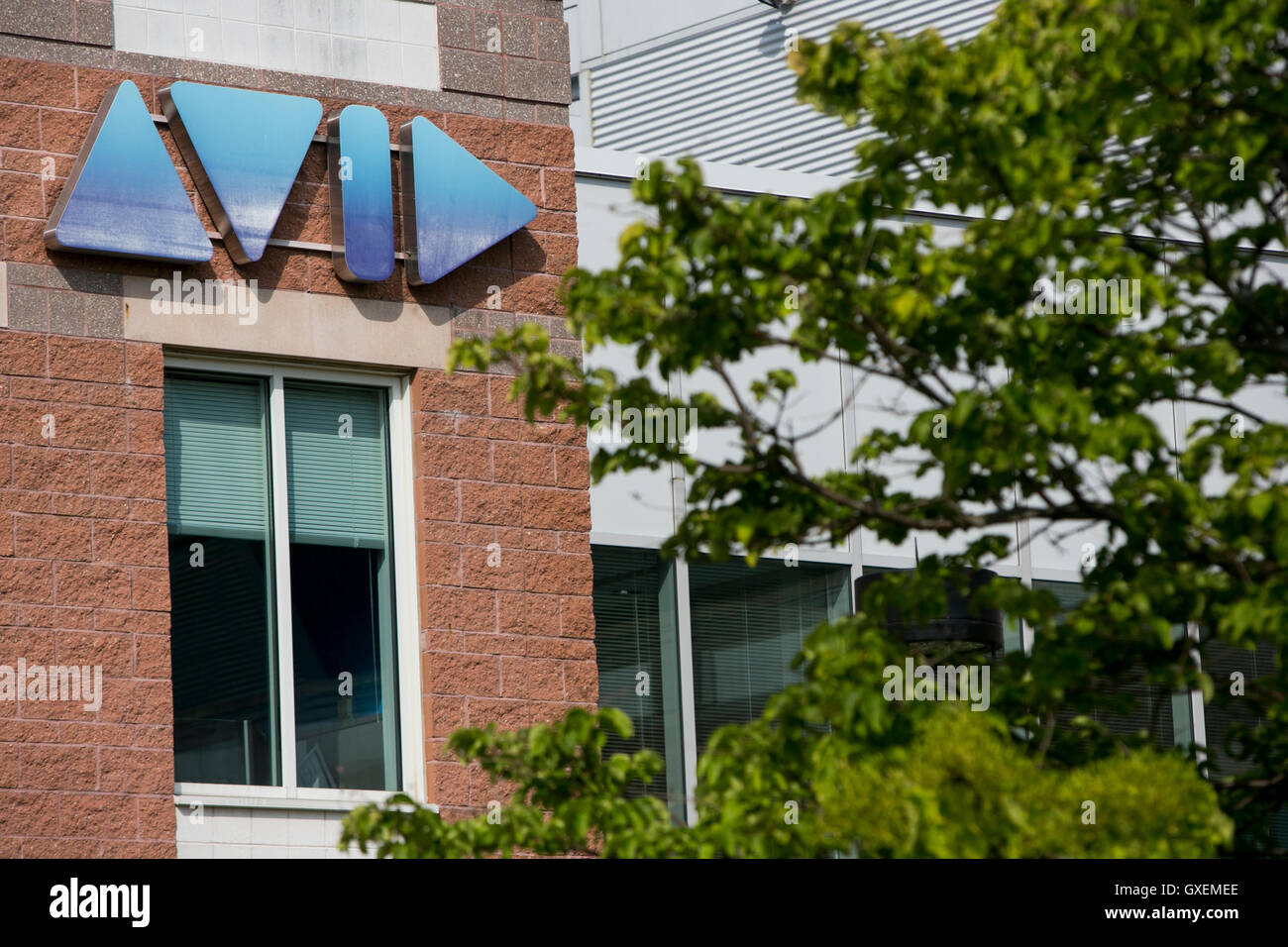 Avid High Resolution Stock Photography and Images - Alamy