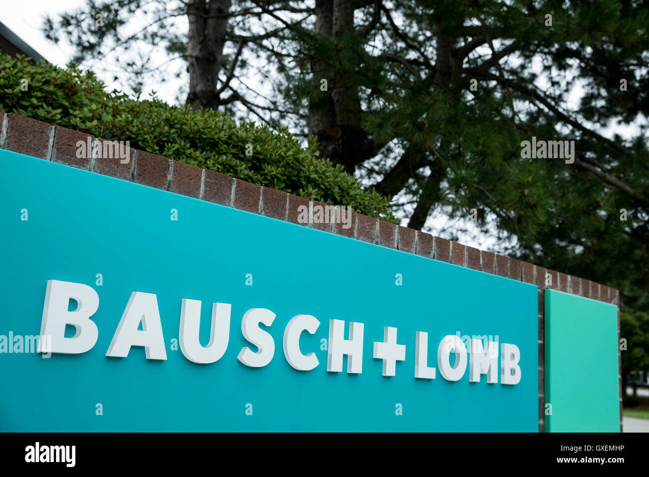 Bausch And Lomb Logo Vector