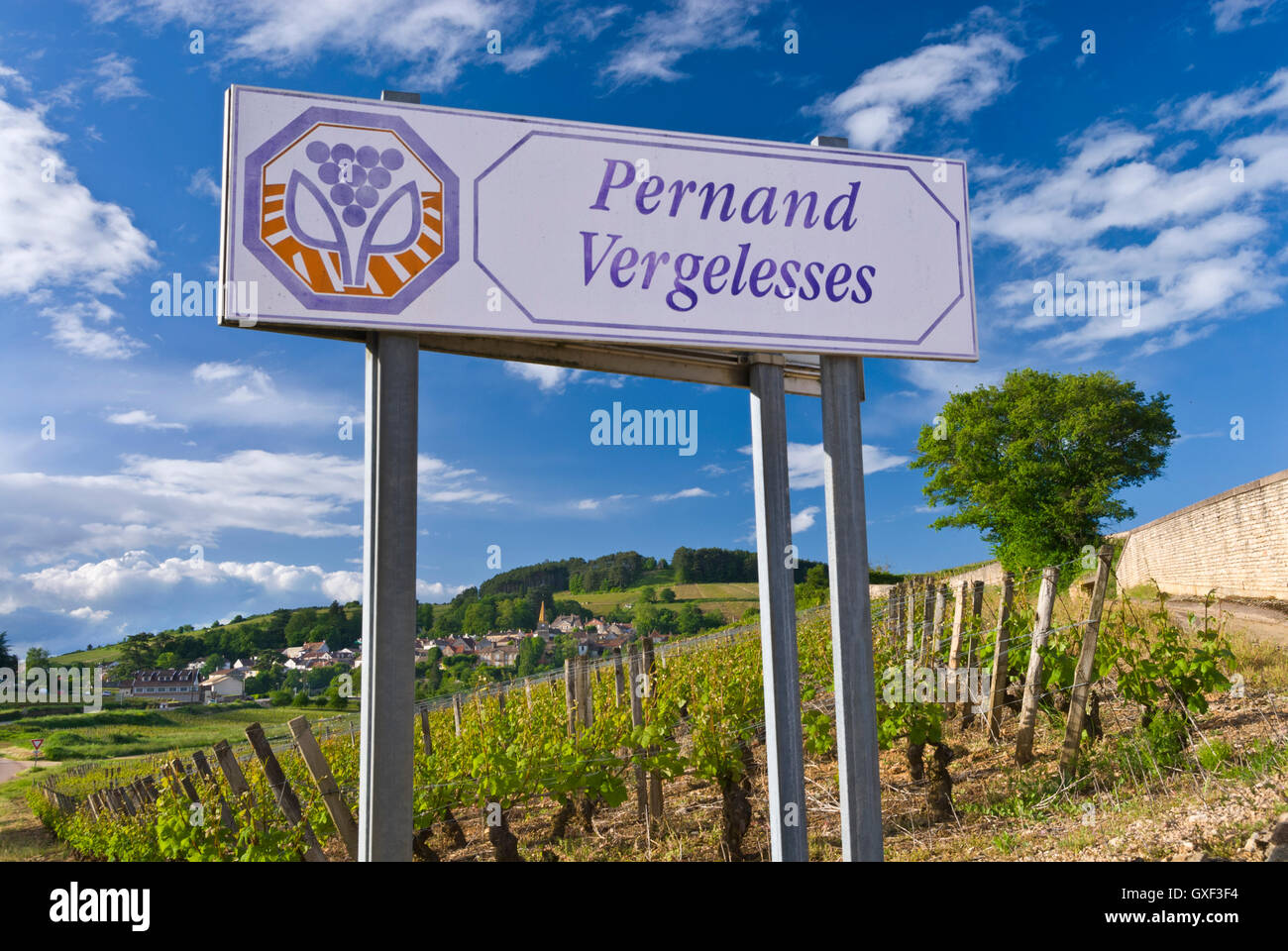 Pernand-Vergelesses village and vineyards, Cote d'Or, Burgundy, France ...