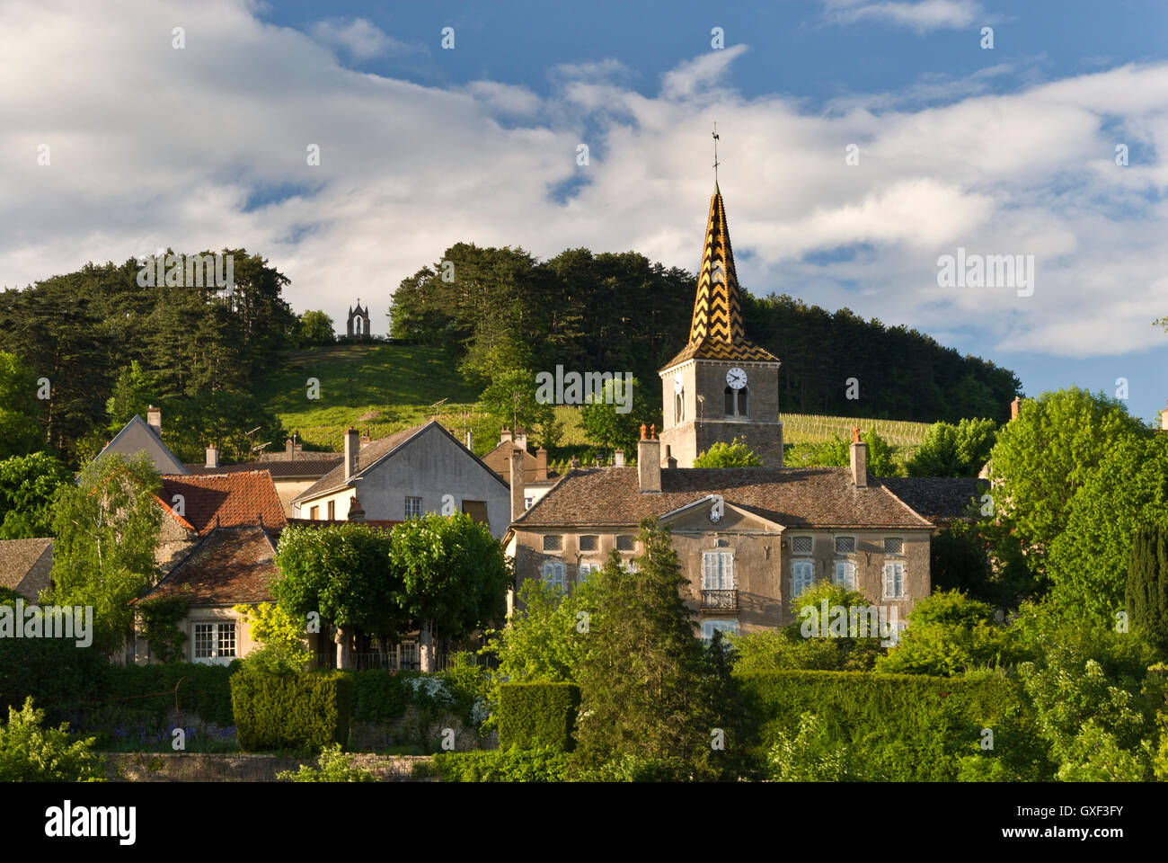 Sun setting on renowned wine growing village of Pernand Vergelesses ...