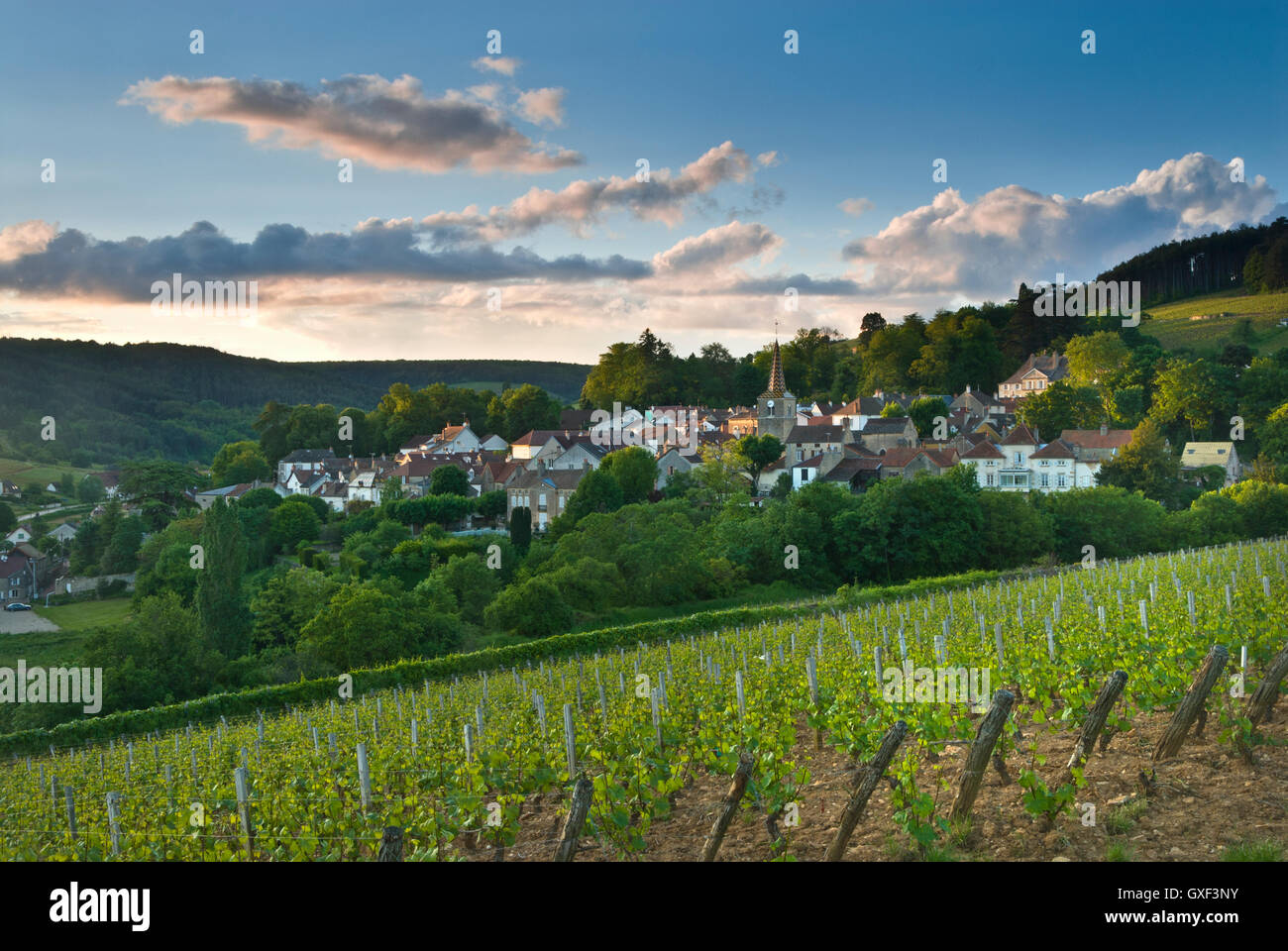 Pernand vergelesses village hi-res stock photography and images - Alamy