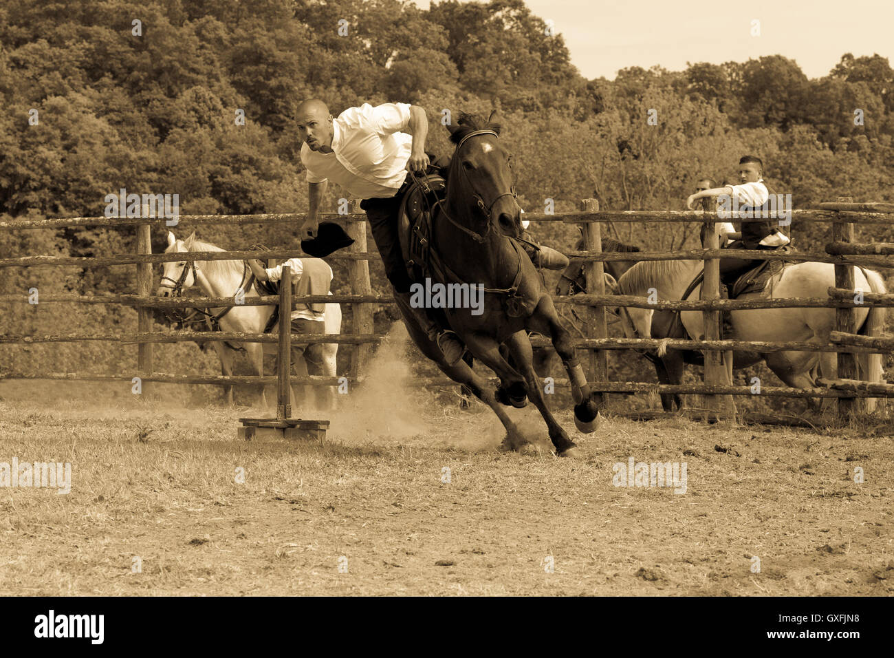 Buttero cowboy hi-res stock photography and images - Alamy