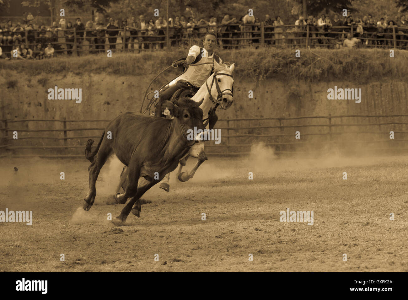 Riarto dei butteri, the annual traditional meeting of italian cowboy ...