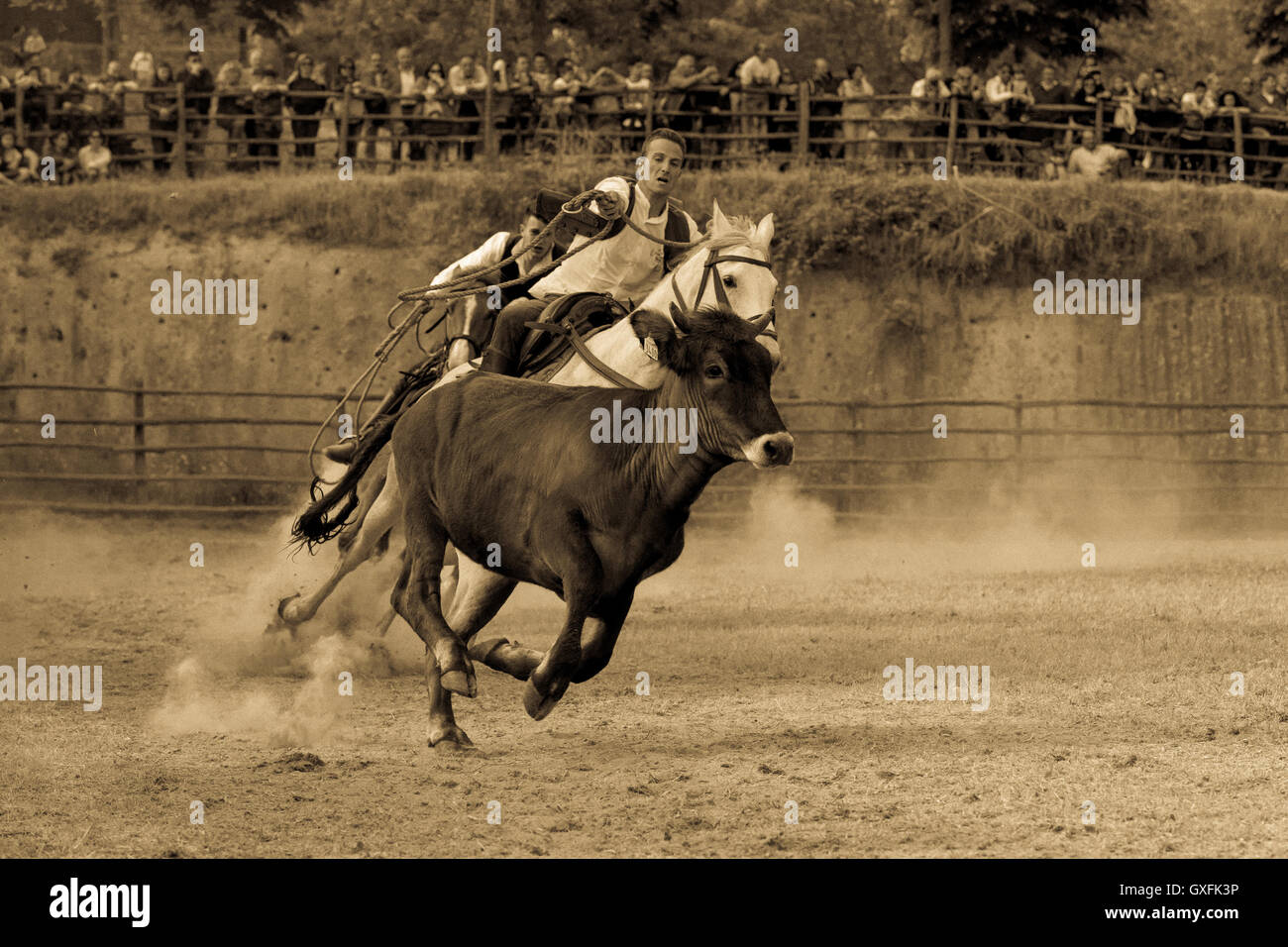 Buttero cowboy hi-res stock photography and images - Alamy