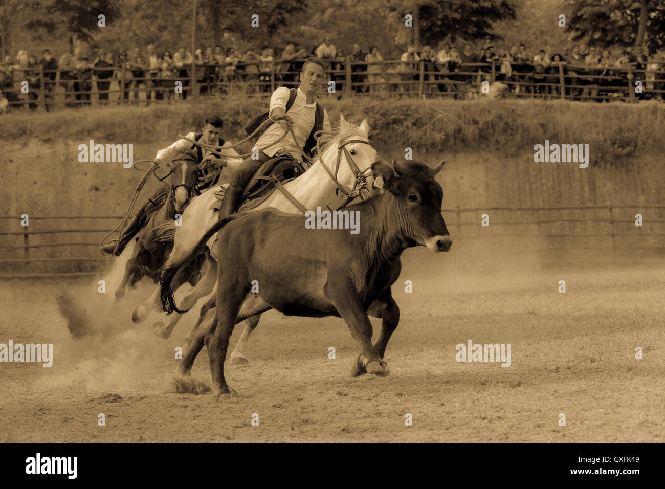 Riarto dei butteri, the annual traditional meeting of italian cowboy ...