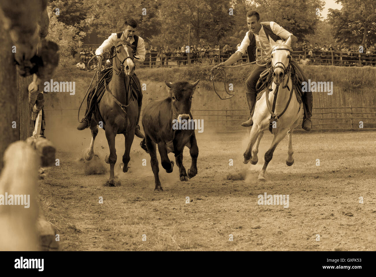Buttero cowboy hi-res stock photography and images - Alamy