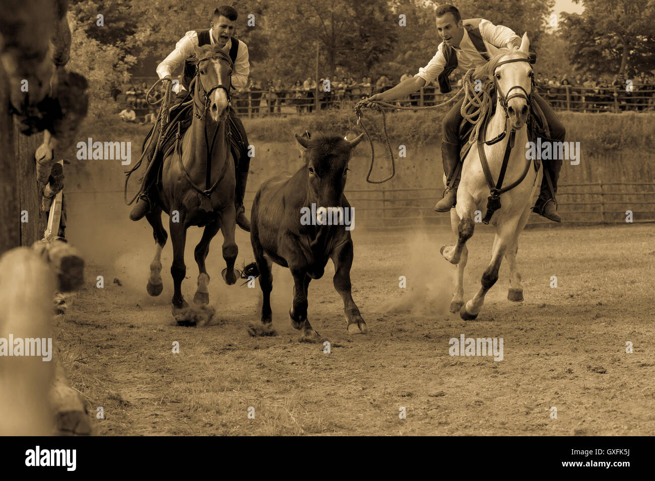 Buttero cowboy hi-res stock photography and images - Alamy
