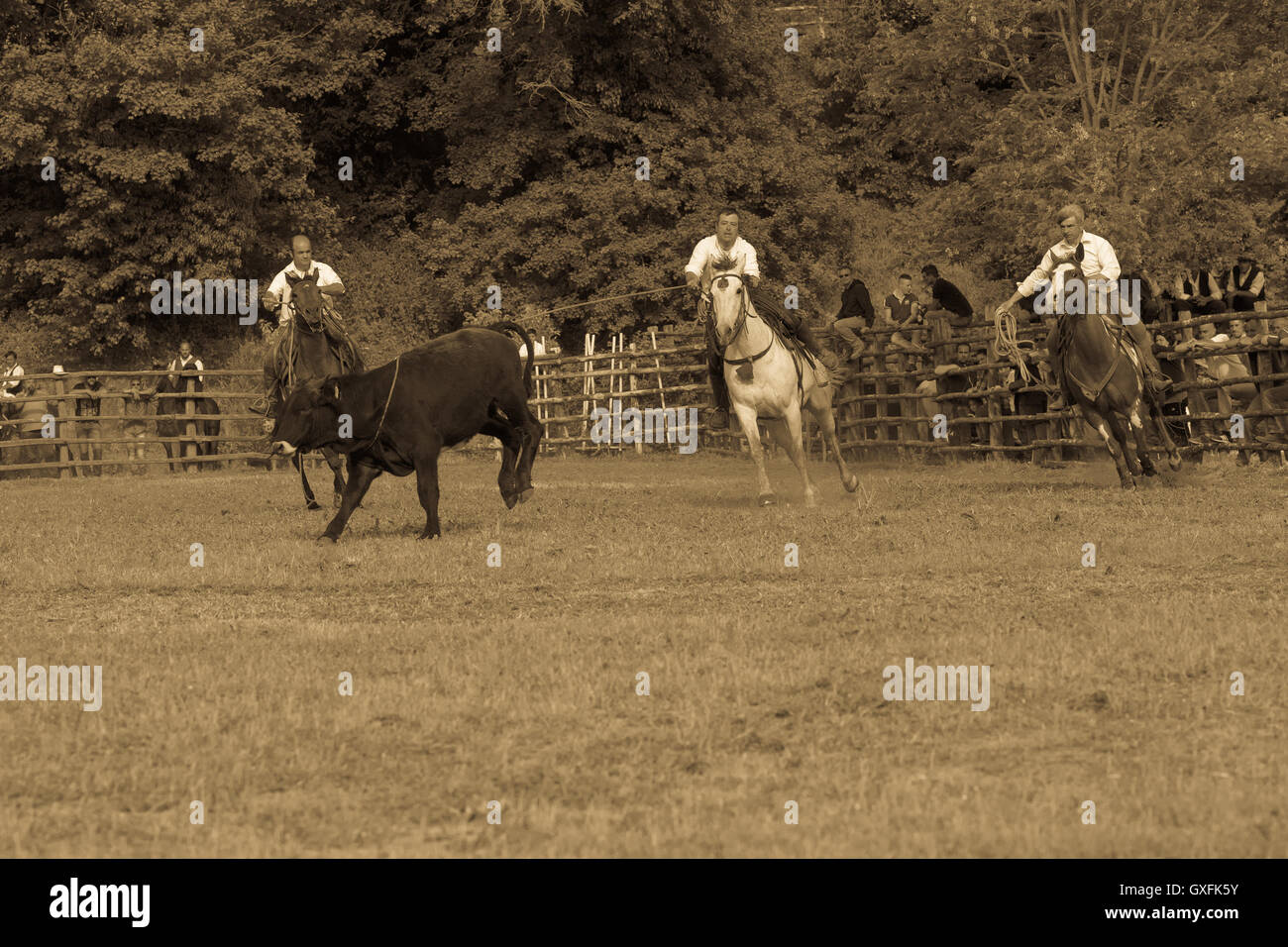 Riarto dei butteri, the annual traditional meeting of italian cowboy ...