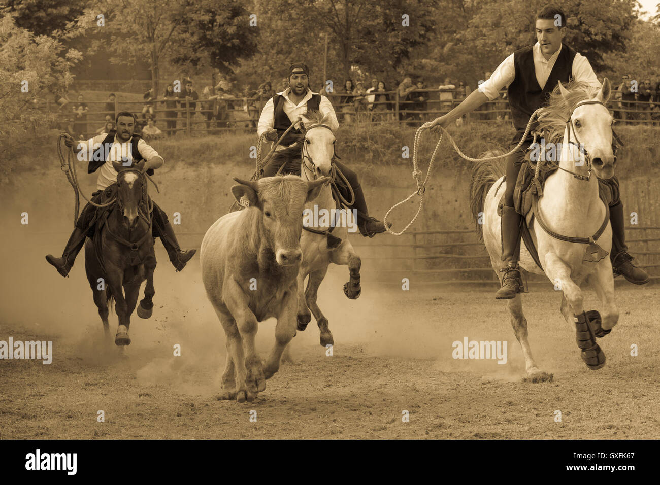 Riarto dei butteri, the annual traditional meeting of italian cowboy ...