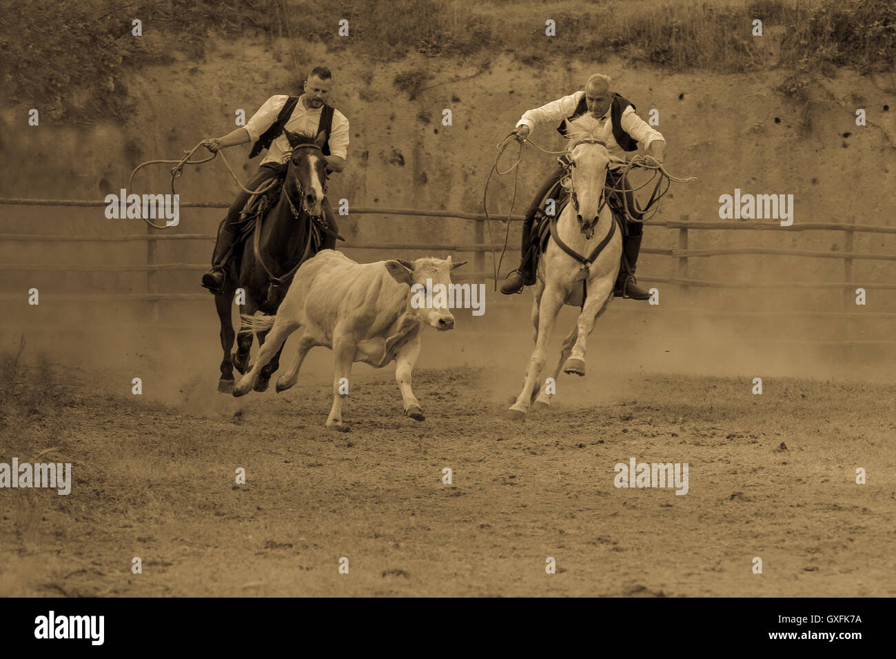 Riarto dei butteri, the annual traditional meeting of italian cowboy ...