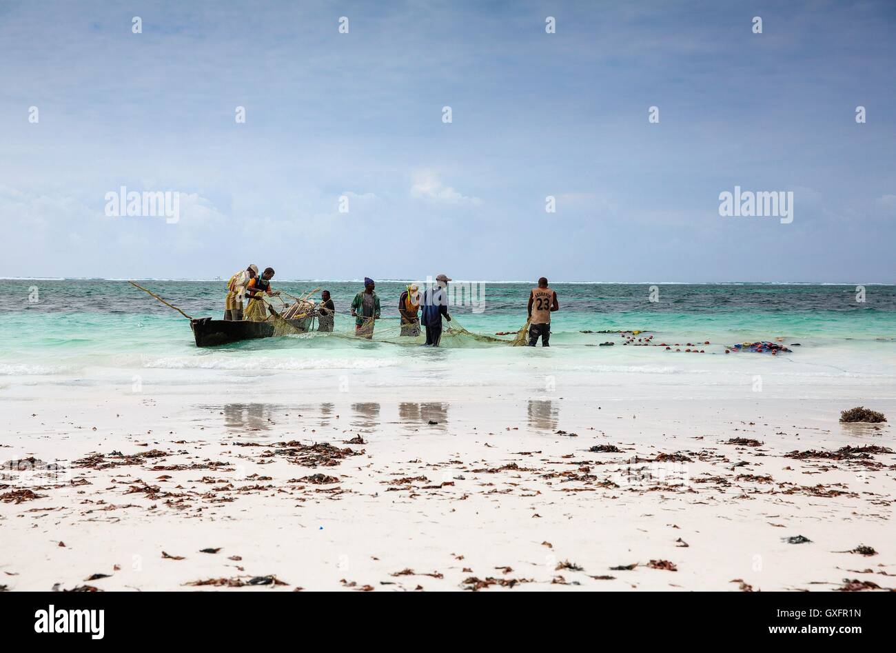 Diani beach fish hi-res stock photography and images - Alamy