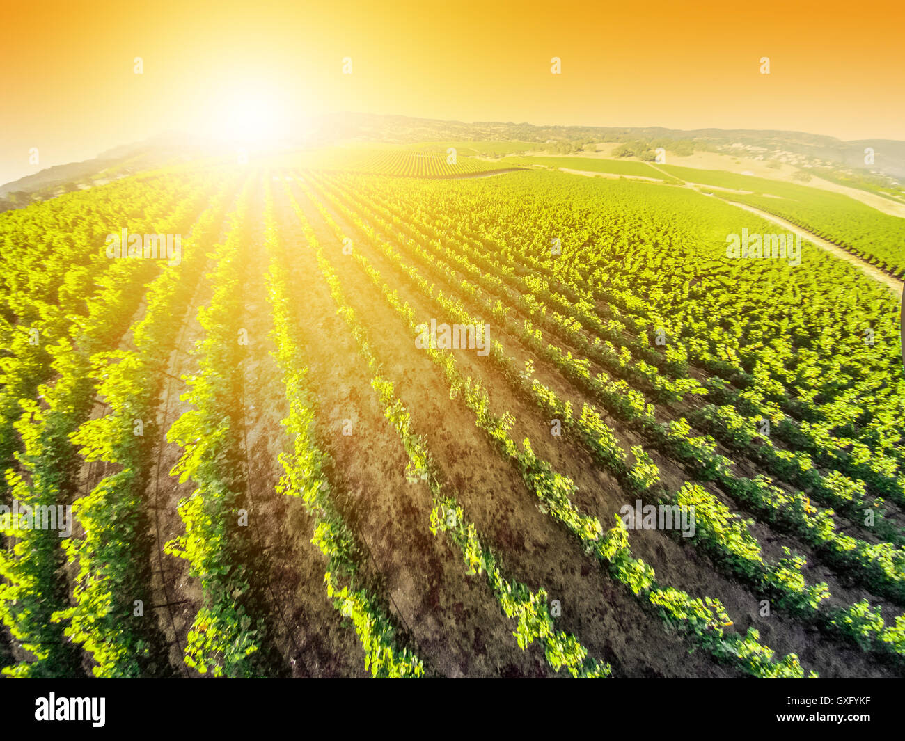 Napa Valley at sunset Stock Photo - Alamy