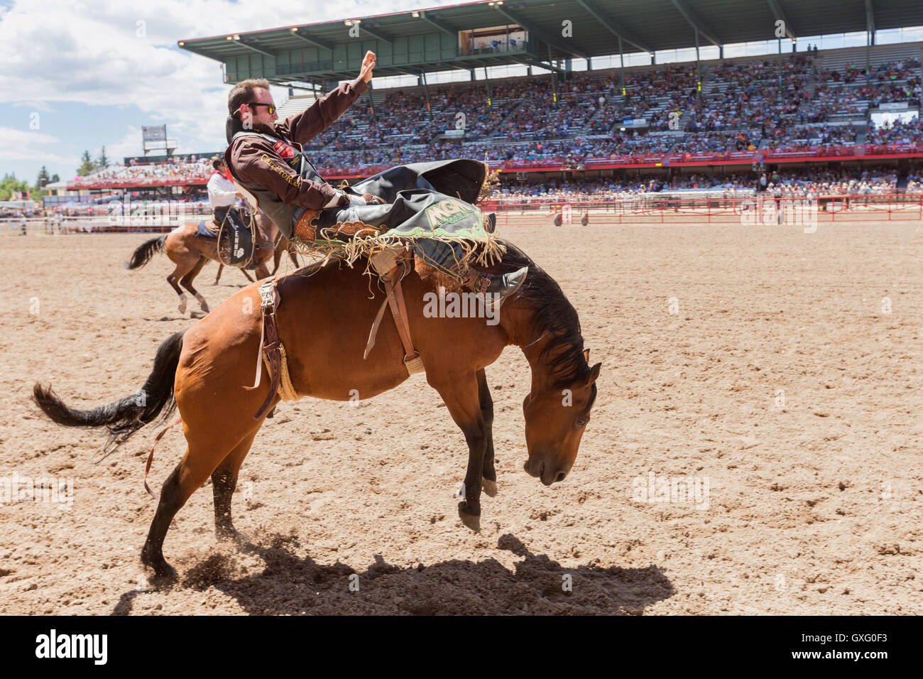 Bareback rider Matt Bright of Fort Worth, Texas hangs on to Mean Jean ...