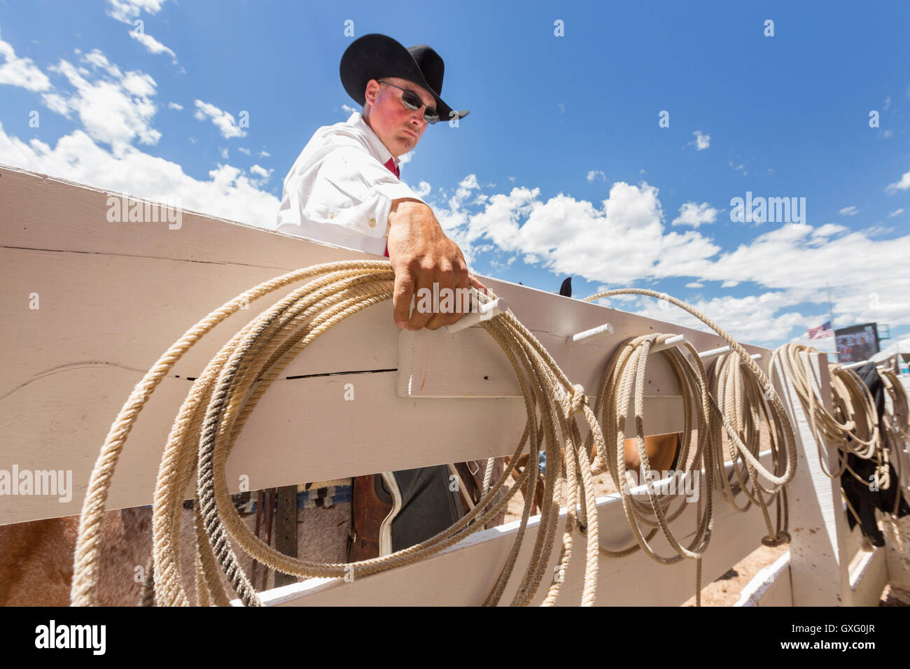 Cowboy lasso rodeo sunny hi-res stock photography and images - Alamy