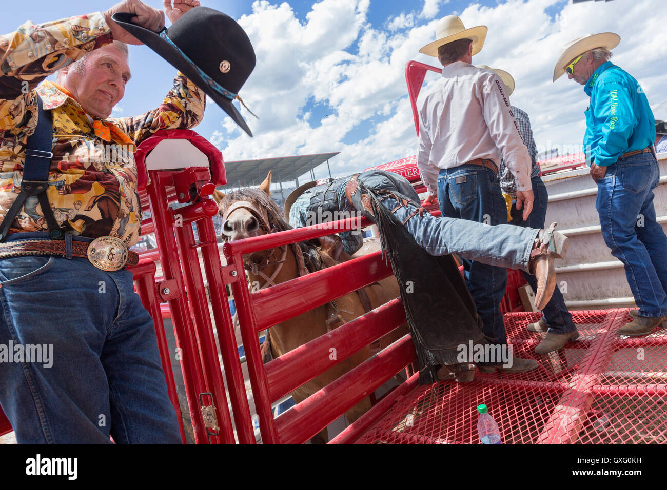 Cheyenne frontier days bronco rider hi-res stock photography and images ...