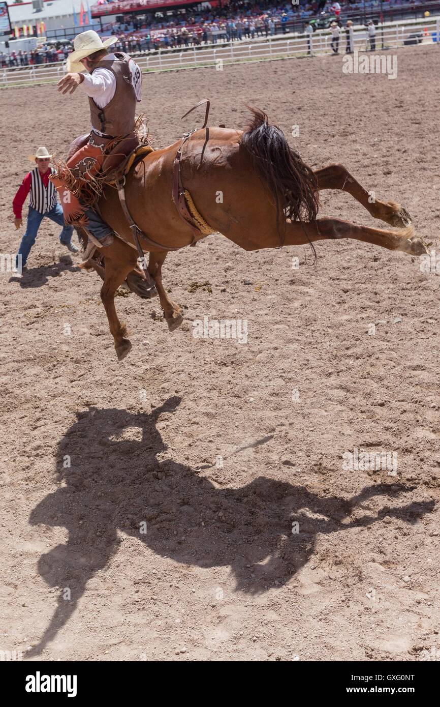 A bareback rider hangs on during rodeo competition at Cheyenne Frontier ...