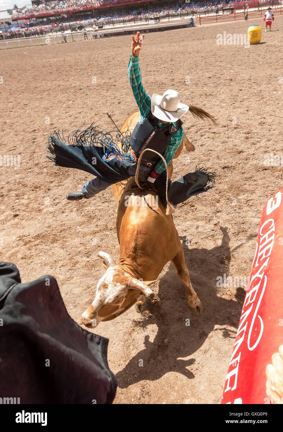 Bull rider Zeb Lanham of Sweet, Idaho breaks out of the chute at the ...