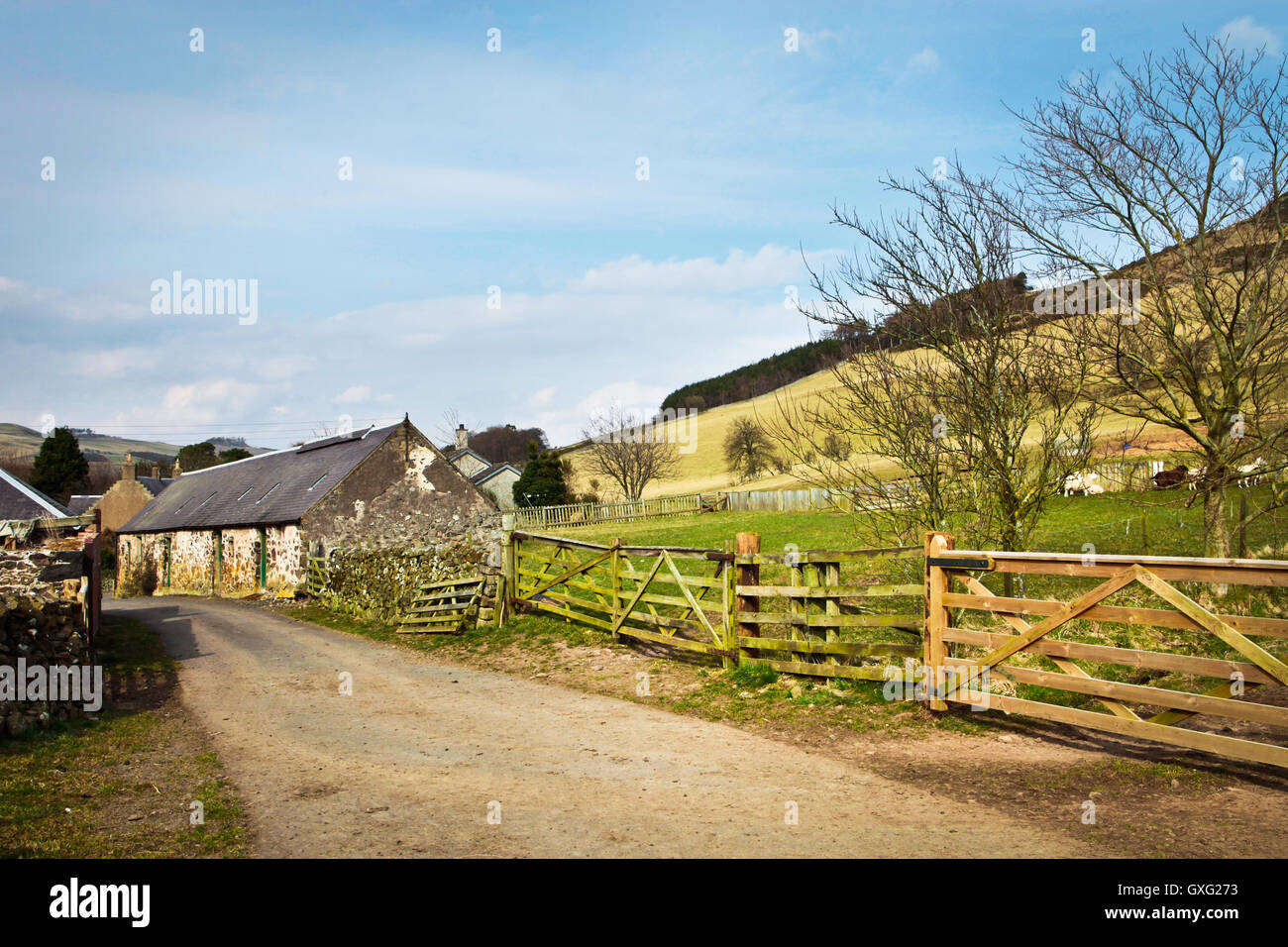 Scottish borders rural farm road hi-res stock photography and images ...