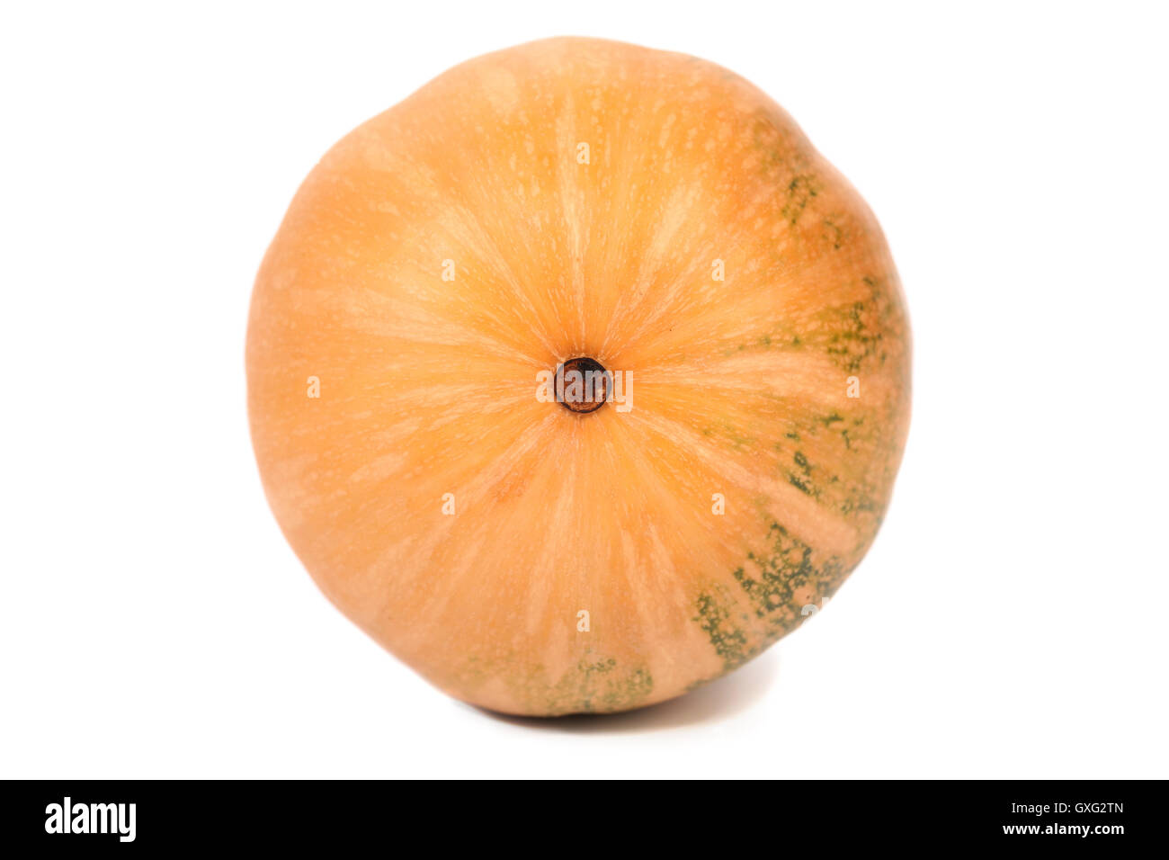 Squash bottom Cut Out Stock Images & Pictures - Alamy