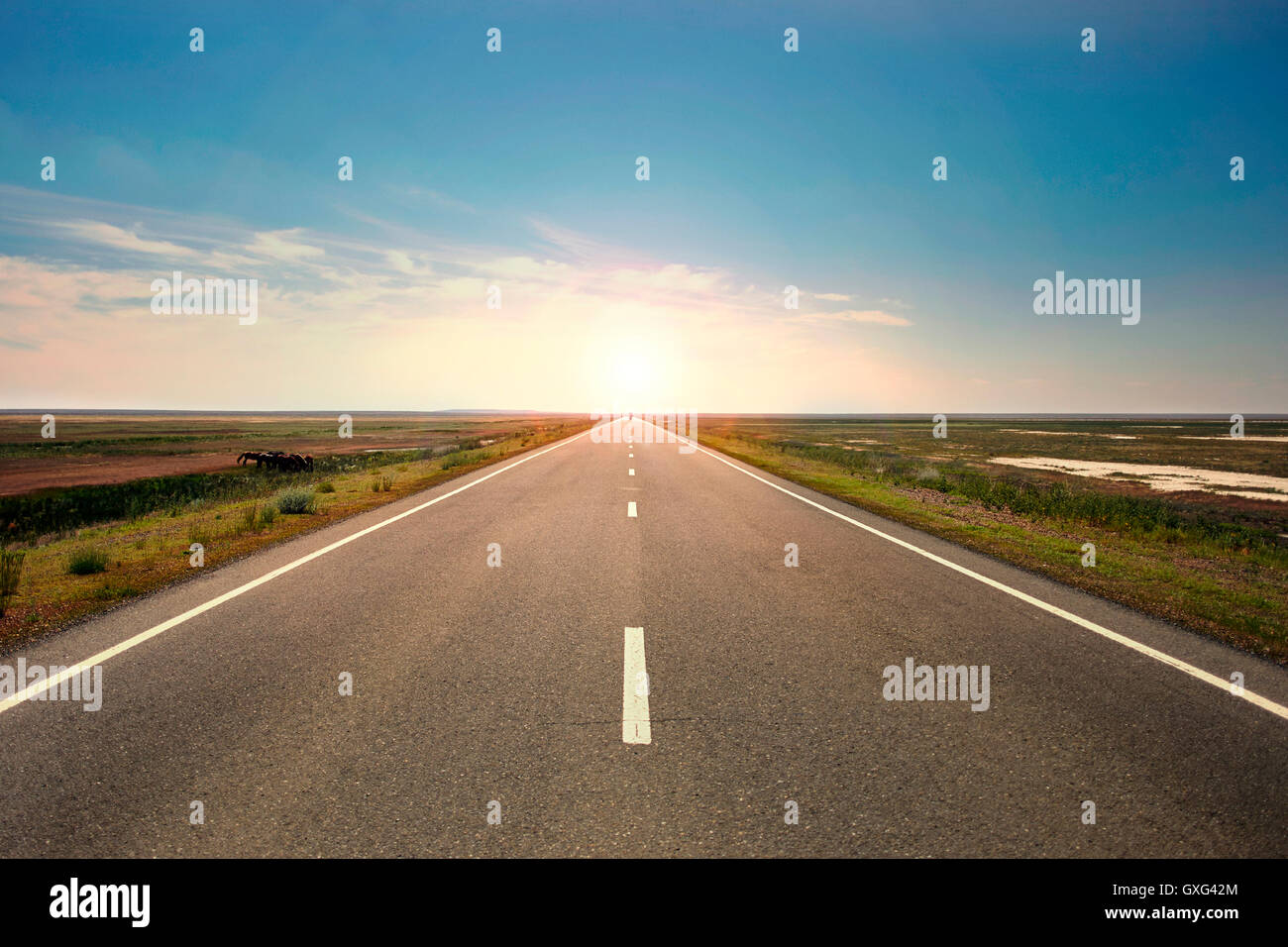 Empty highway hi-res stock photography and images - Alamy