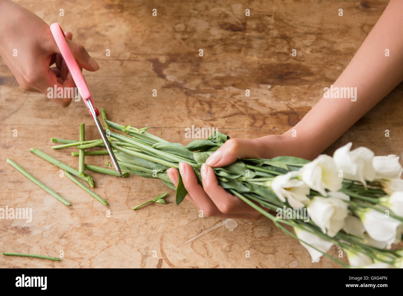 Woman cutting flower stem in hi-res stock photography and images - Alamy
