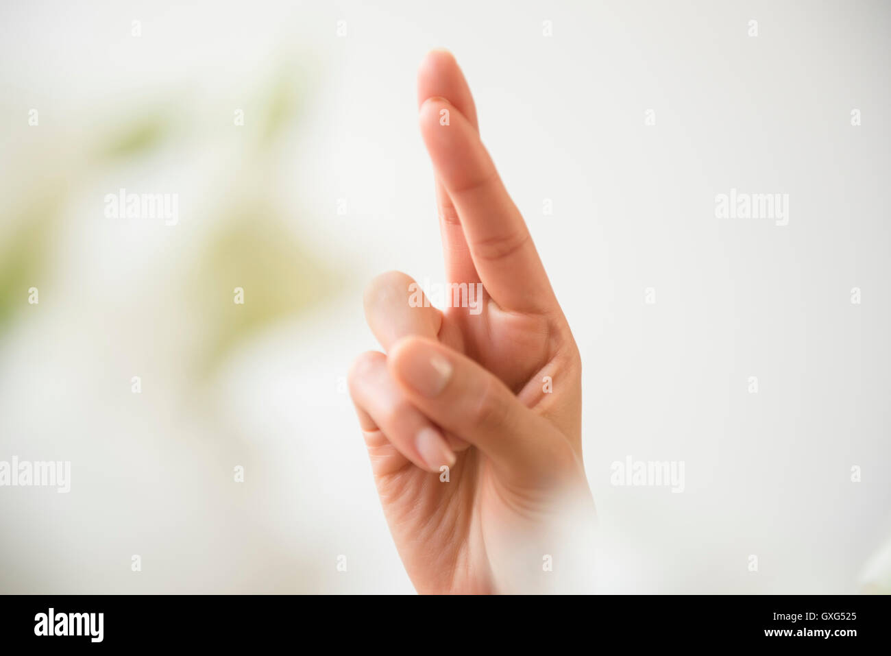 Hand hispanic woman fingers hi-res stock photography and images - Alamy
