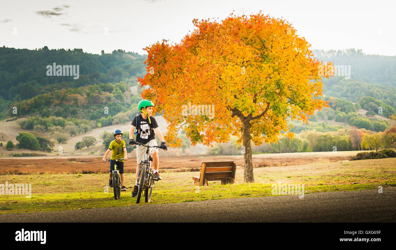 Riding park hi-res stock photography and images - Alamy