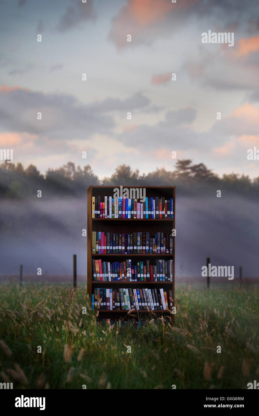 Books in bookcase in field Stock Photo - Alamy