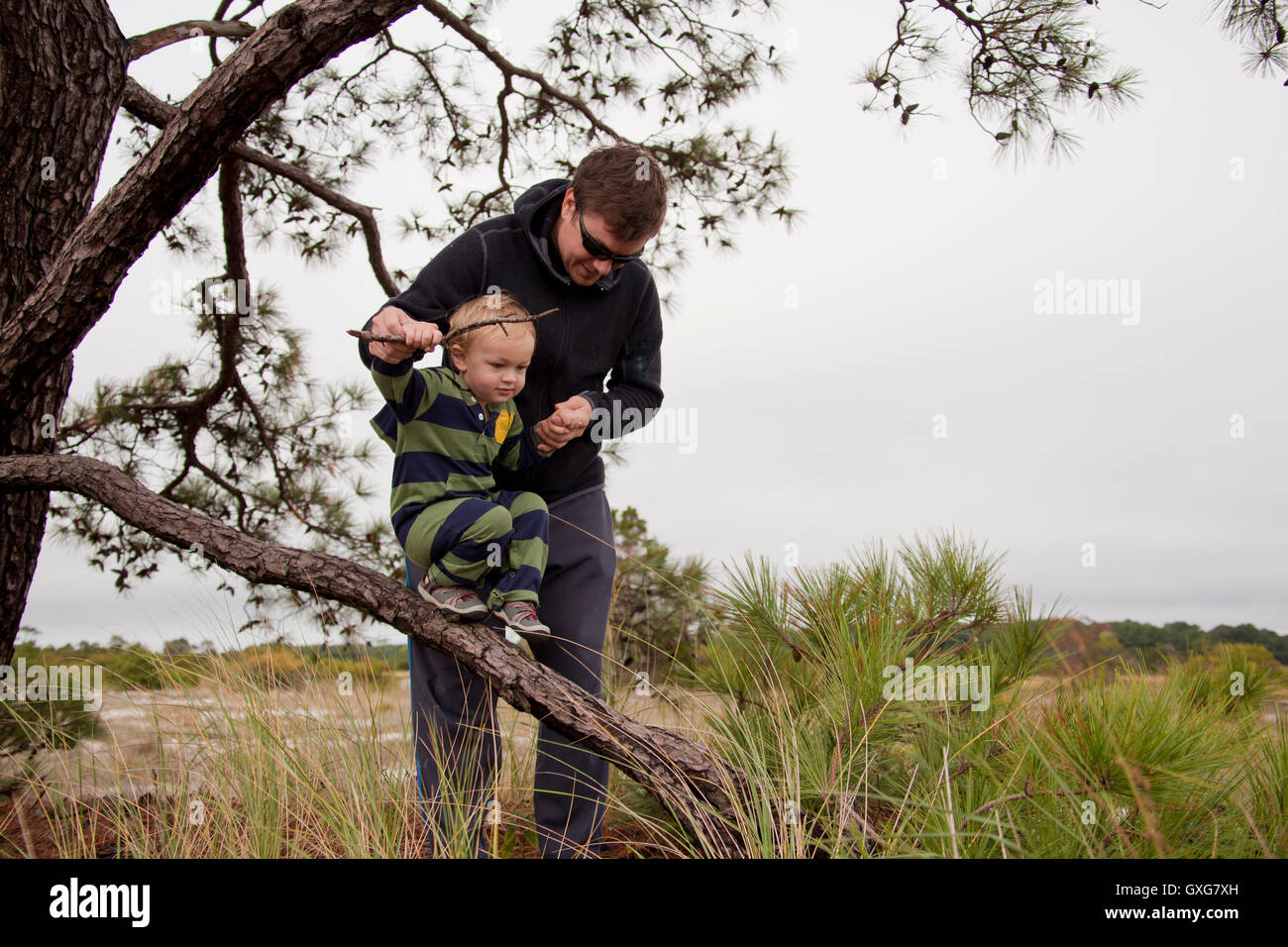 Caucasian father helping son walk on tree branch Stock Photo - Alamy